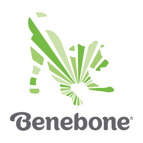 Benebone – Pet Pro World